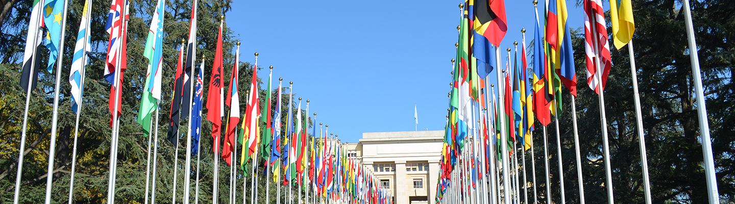 Master & PHD in International Economics | IHEID