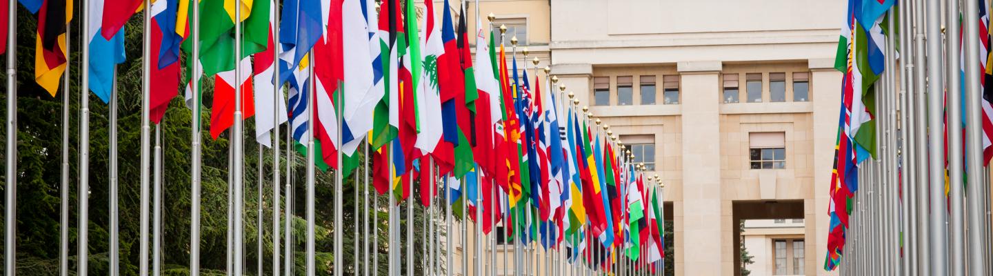 A Guide to Global Health Diplomacy to Train Future Negotiators | IHEID